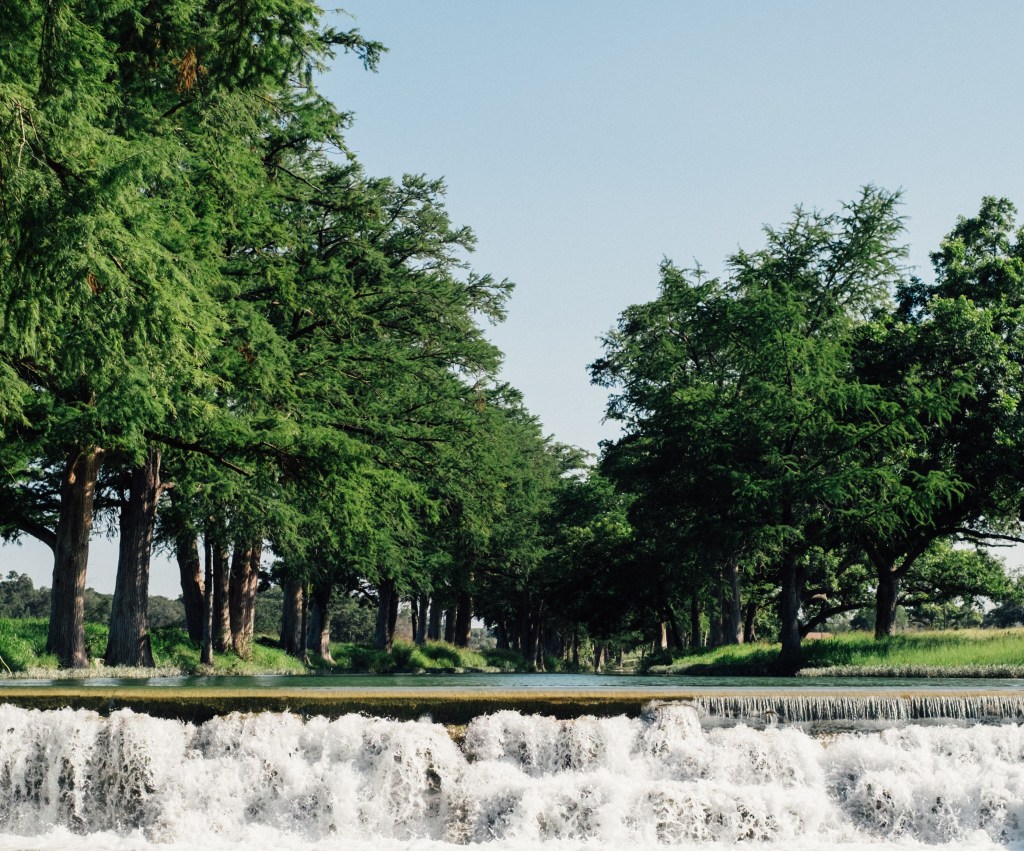 Clapping Trees Counseling and Consulting